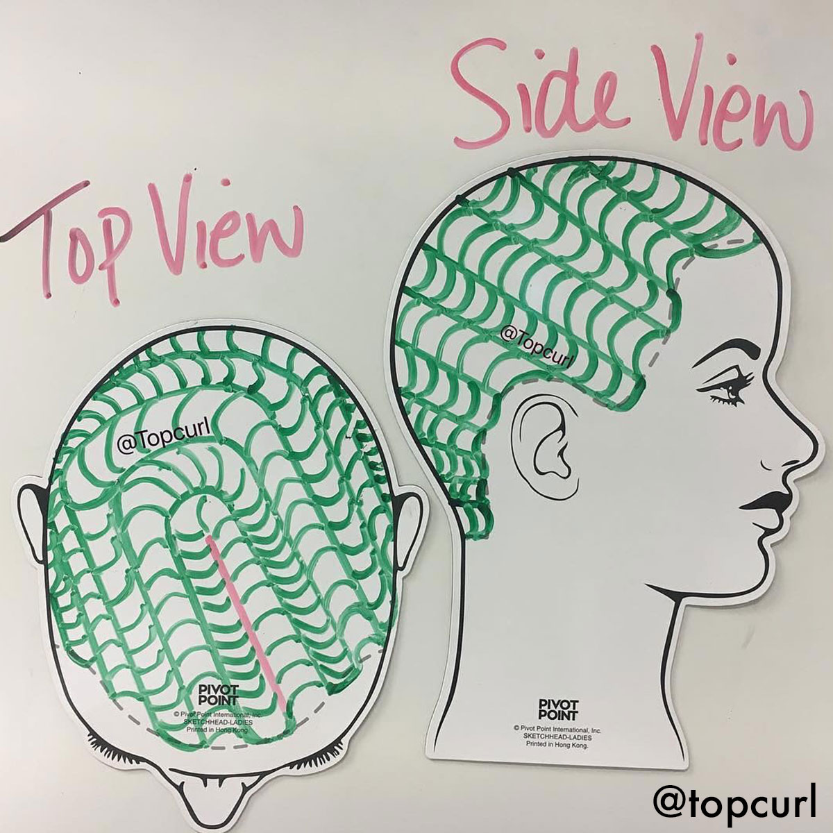 Ladies Sketch Heads - Pivot Point UK