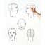 Ladies Sketch Heads - Pivot Point UK