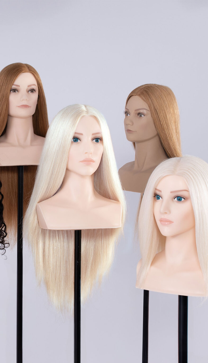 Shop - Pivot Point UK